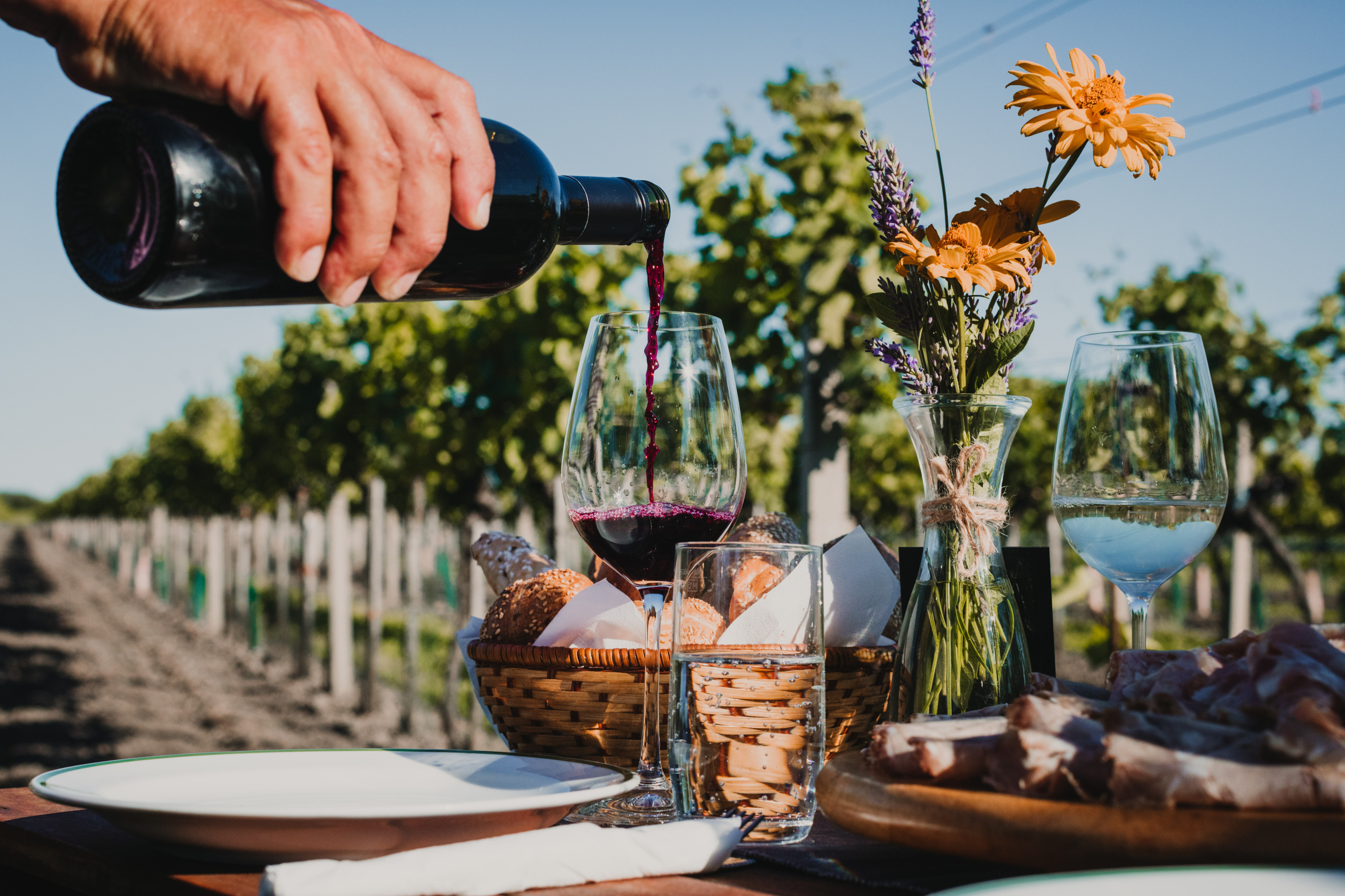 Sortenstolz und Slow-Food-Heuriger - Wienerwald